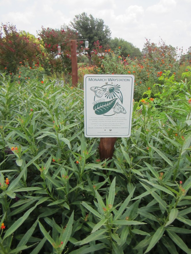 Izzybelle Visits Fredricksberg – The Final Chapter of Izzy B.’s Travel ...